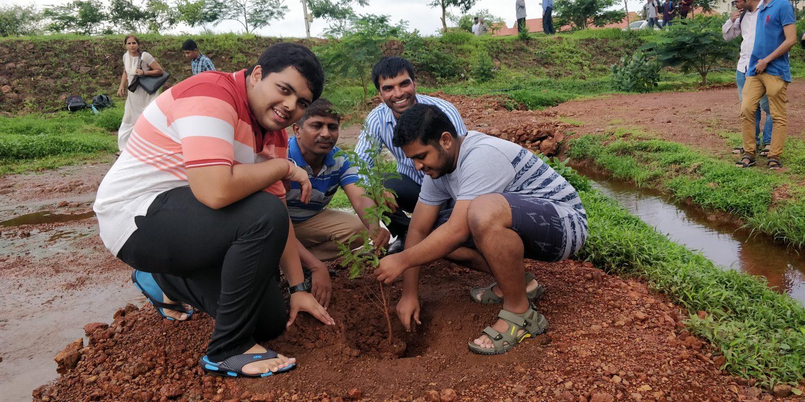 Students of BITS Pilani Goa Campus plant 80 fruit bearing and medicinal ...