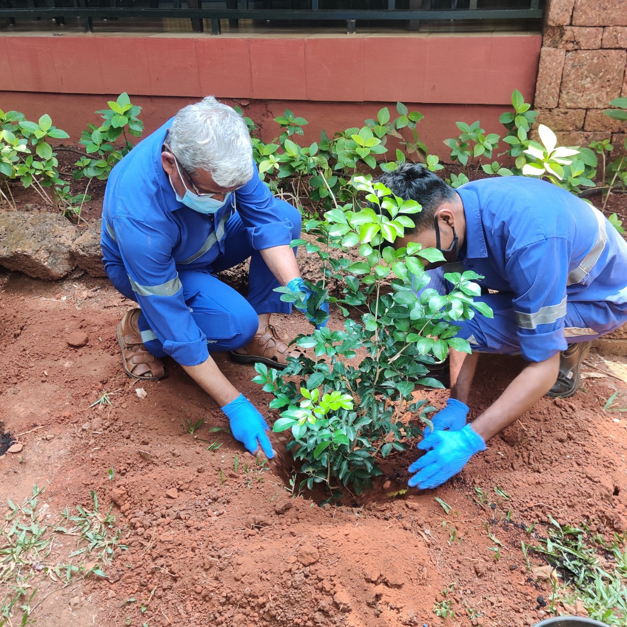 IHCL, Goa continues to chart it’s journey towards a more sustainable ...