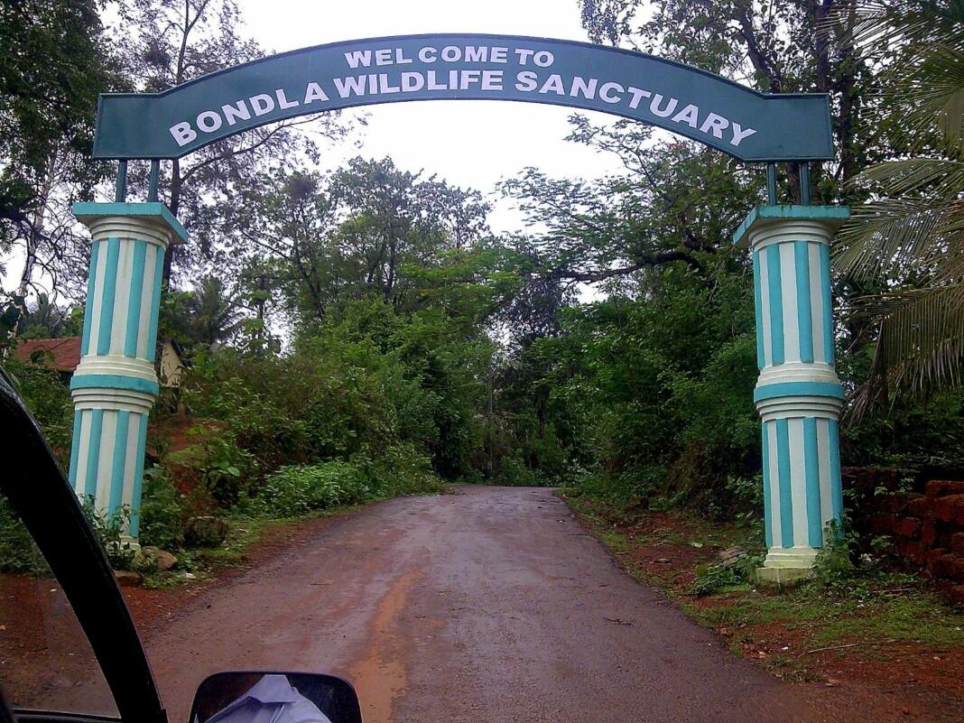Bondla Zoo reopens after brief shut down - Goa News Hub